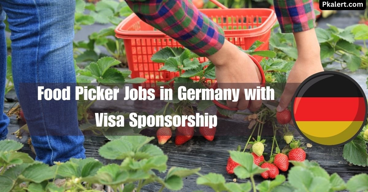 Food Picker Jobs in Germany with Visa Sponsorship in 2023: Find Your ...