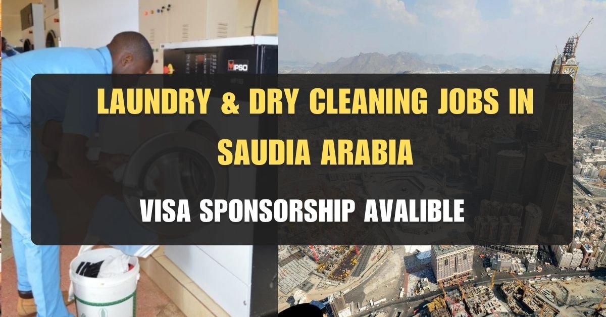 Launch Your Career in Laundry & Dry Cleaning at Modern Architecture ...